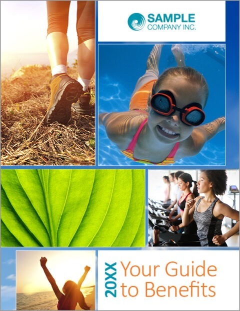 Examples | Mercer Benefits Guides